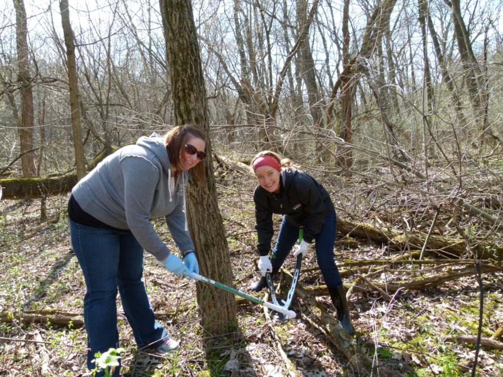 » Volunteer Opportunities