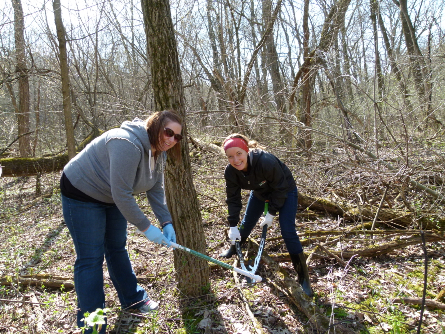 » Volunteer Opportunities